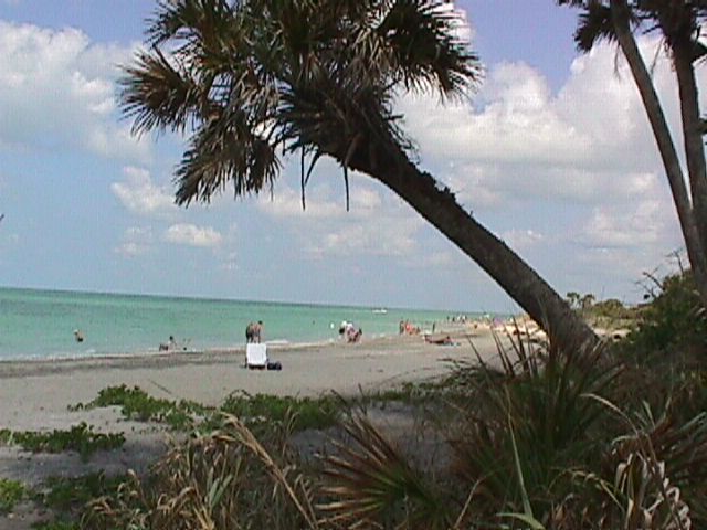 Florida Beaches. Photos and Information.