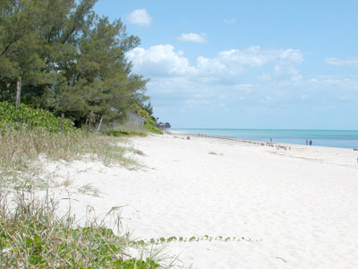 Manasota Key, Florida beaches. BeachHunter's beach reviews and photos.
